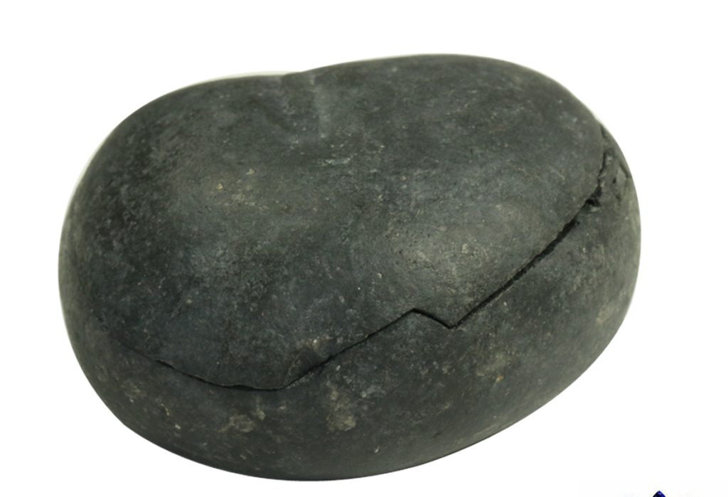 Shaligram (100% Original) - Gem Mines