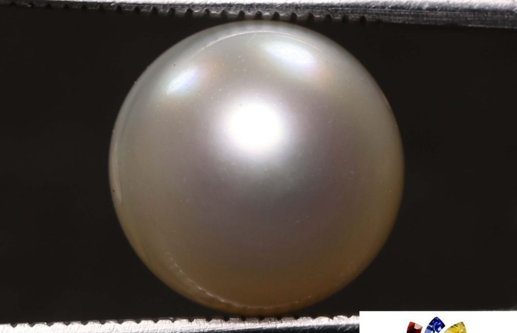Buy Original South Sea Pearl Online in India At Best Price
