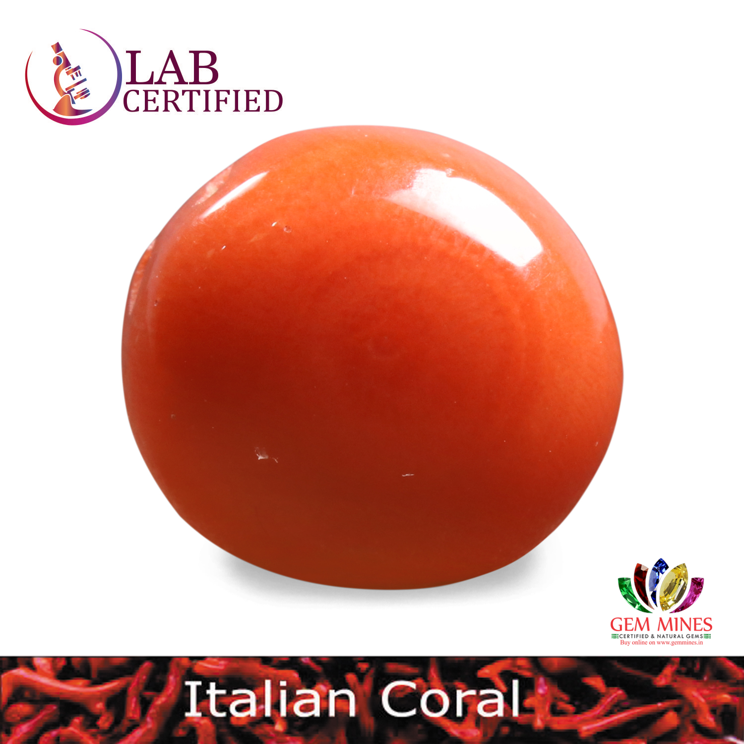 मूंगा | Buy Original Red Coral (Moonga Stone) Online Price in Delhi